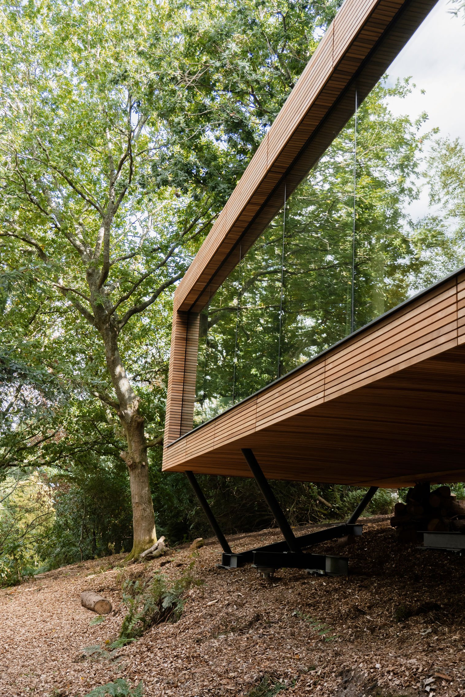 Looking Glass Lodge – Unique treehouse in East Sussex