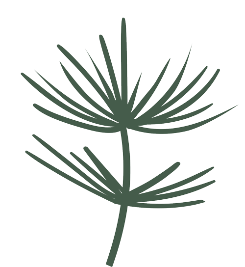 Looking Glass Lodge – Unique treehouse in East Sussex