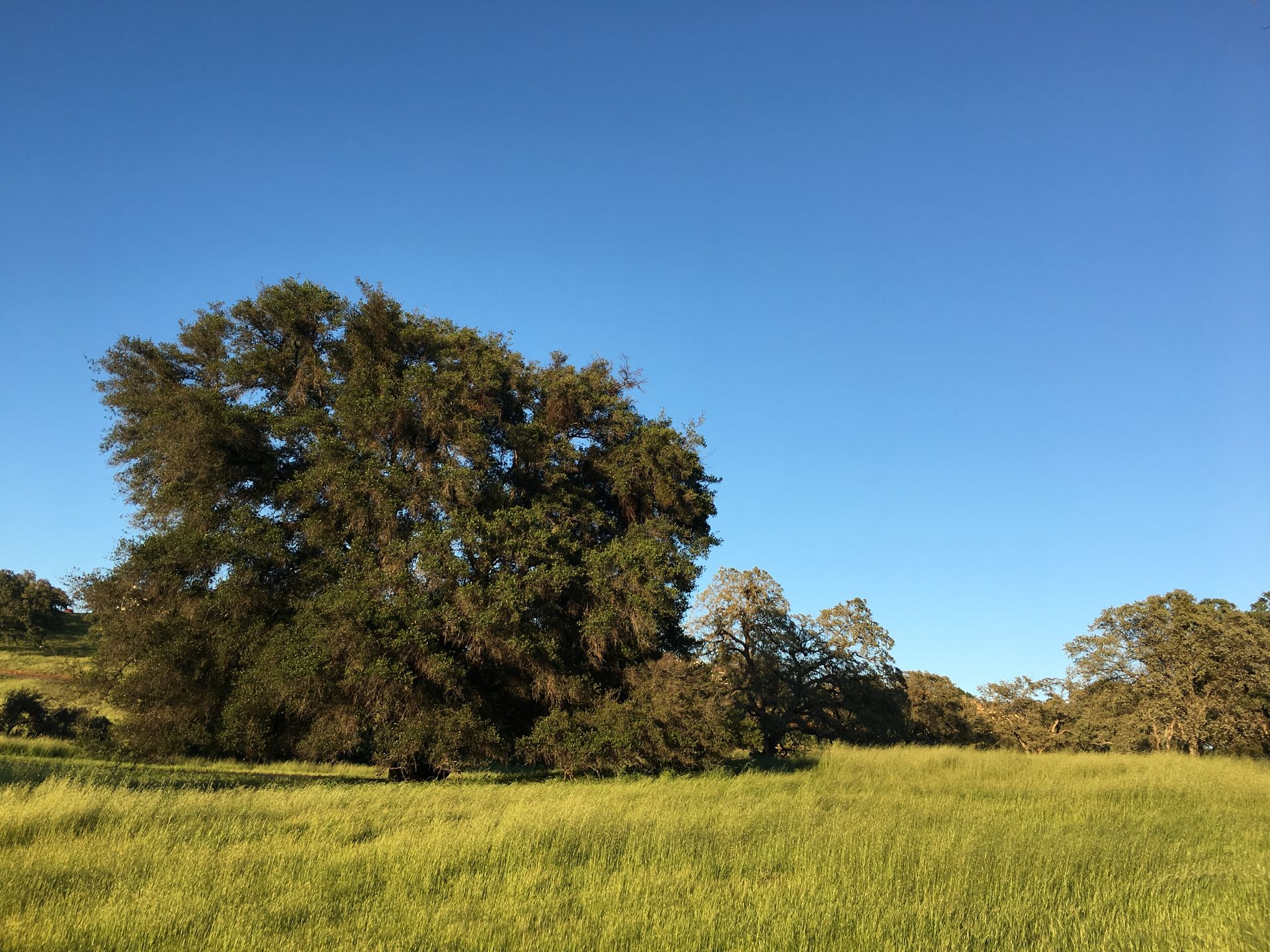 Smiley Land & Homes | GUIDE Real Estate