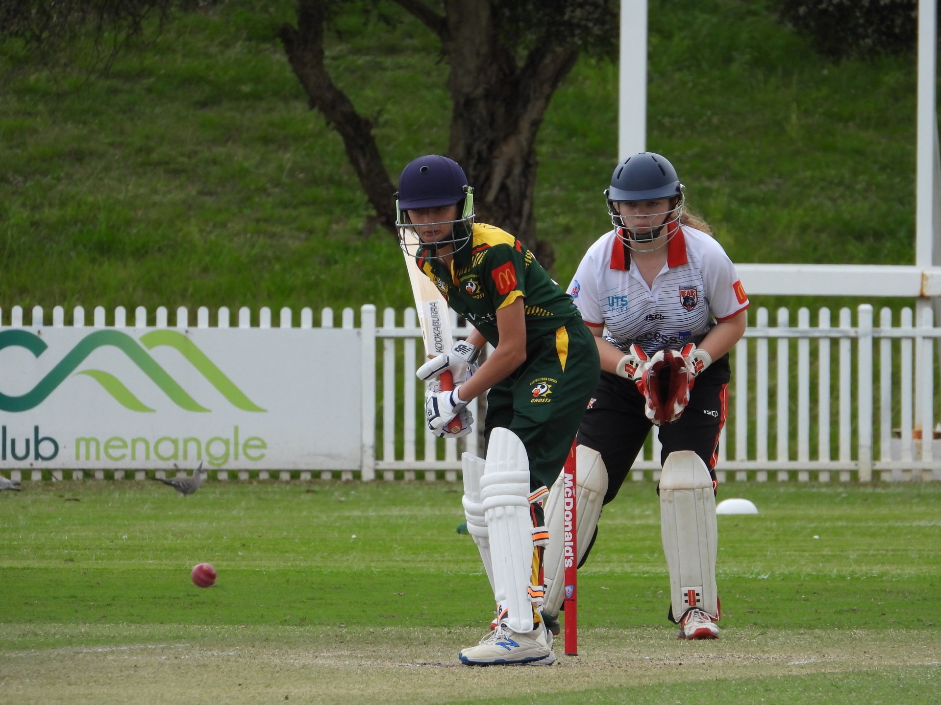 Brewer Shield v North Sydney 05/12/2021