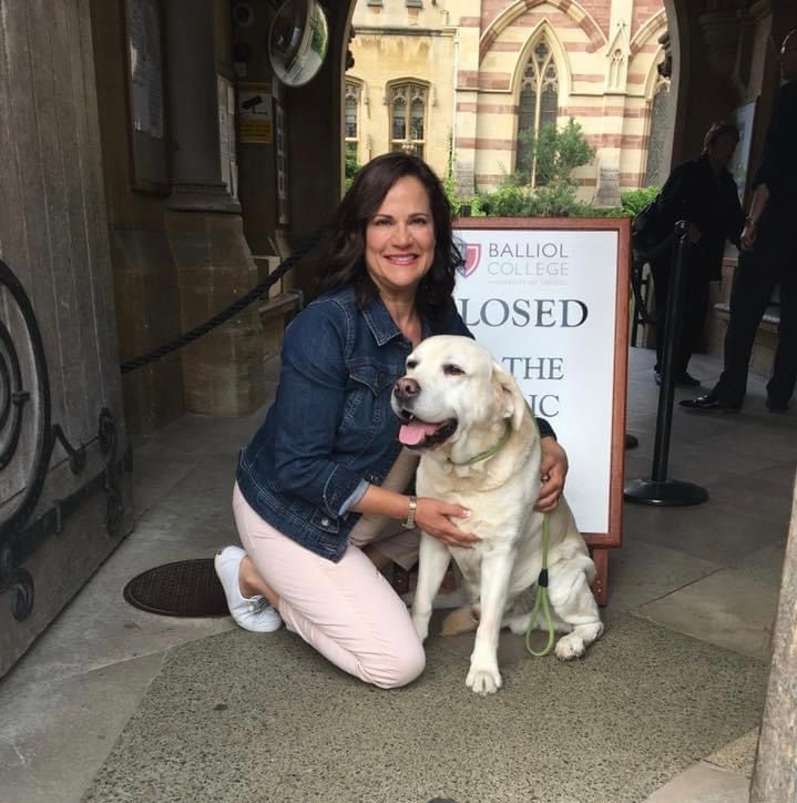 Devonshire Labradors | Gallery