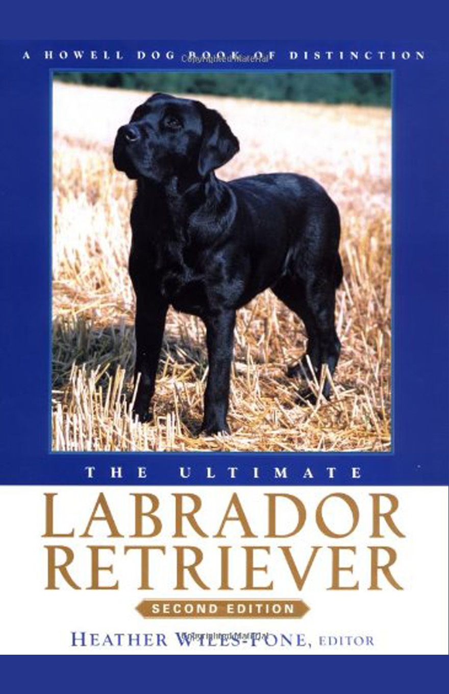Devonshire Labradors | Resources