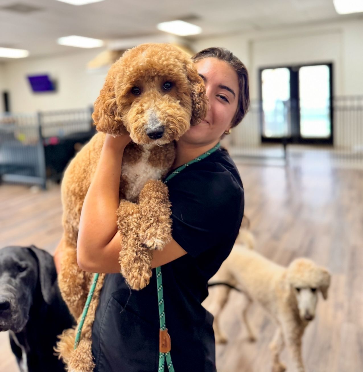 About Happy Tails | Cullman, AL