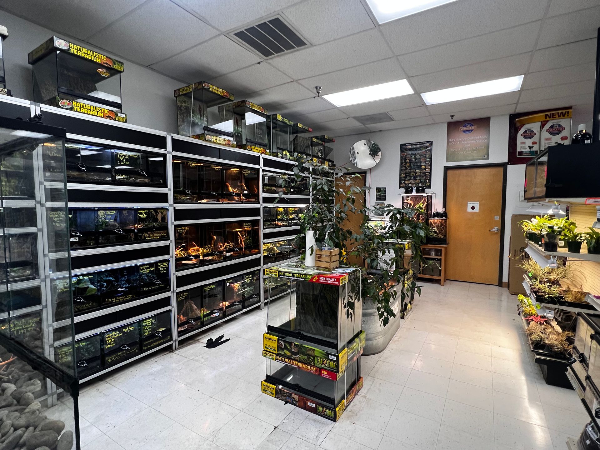 Animal House Pet and Supplies Shop