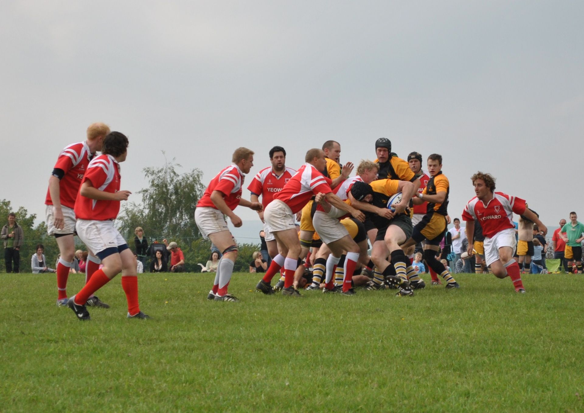 Salcombe Rugby Club - Teams, Results, Venue Hire, Shop & Events