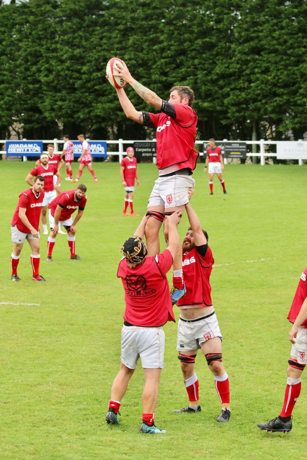 Salcombe Rugby Club - Teams | Local Results | Venue Hire | Shop | Events