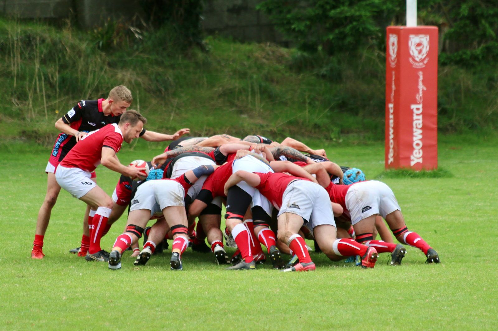 Salcombe Rugby Club - Teams | Local Results | Venue Hire | Shop | Events