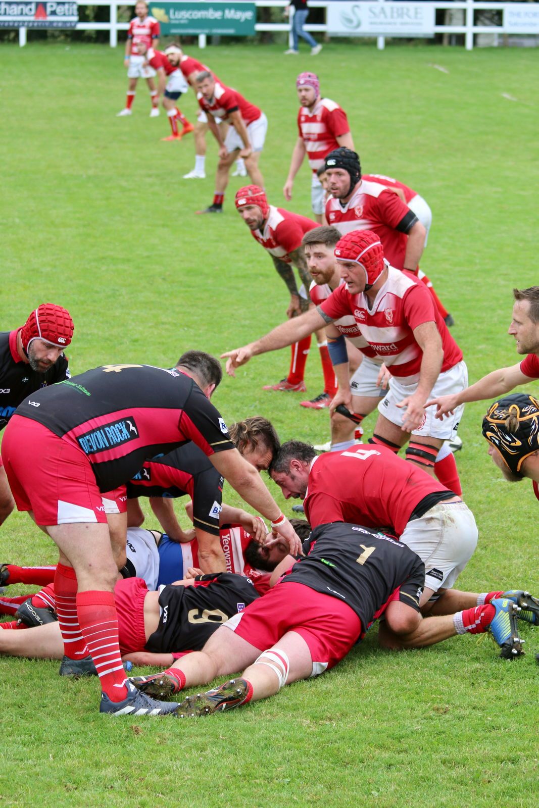 Salcombe Rugby Club Teams - Main XV, Juniors & Little Nippers