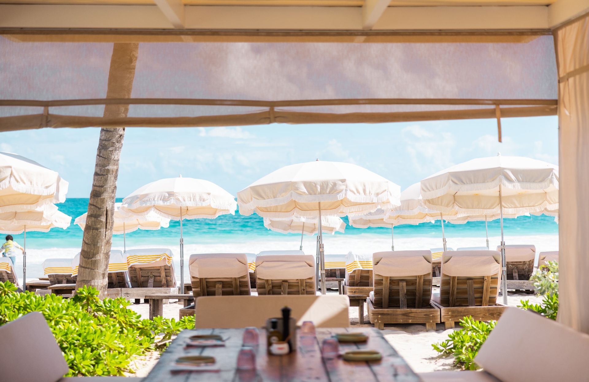 Gallery of pictures | Coco Beach Restaurant