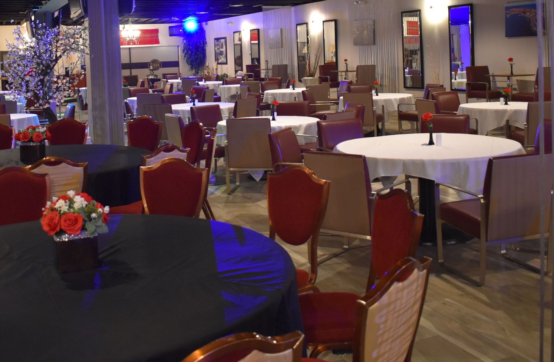 Balkan Bar and Grill | Mediterranean Restaurant