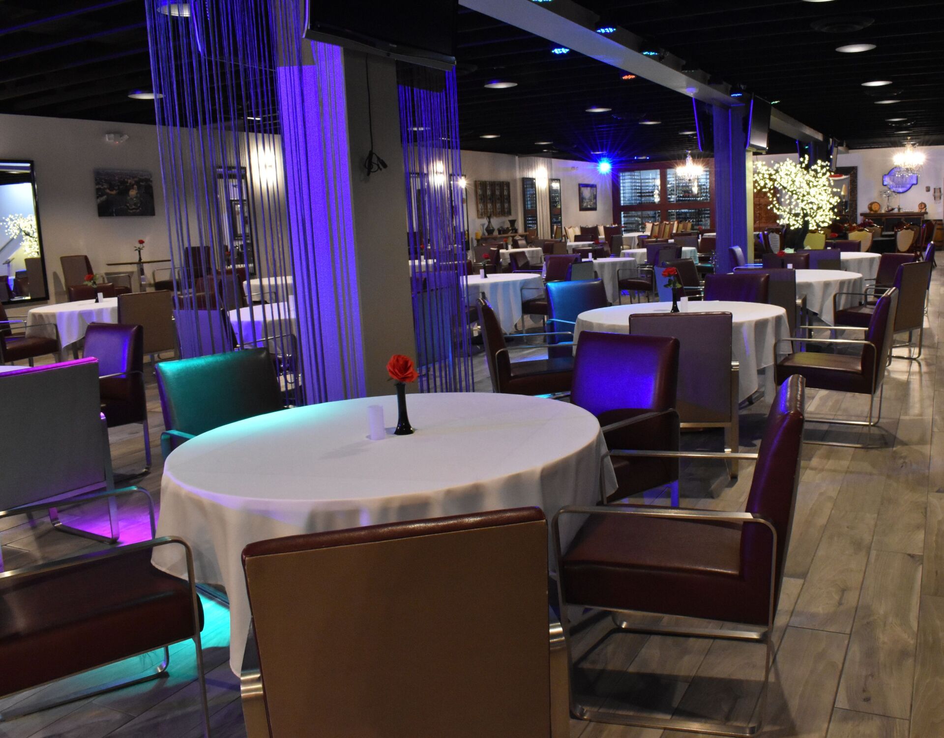 Balkan Bar and Grill | Mediterranean Restaurant