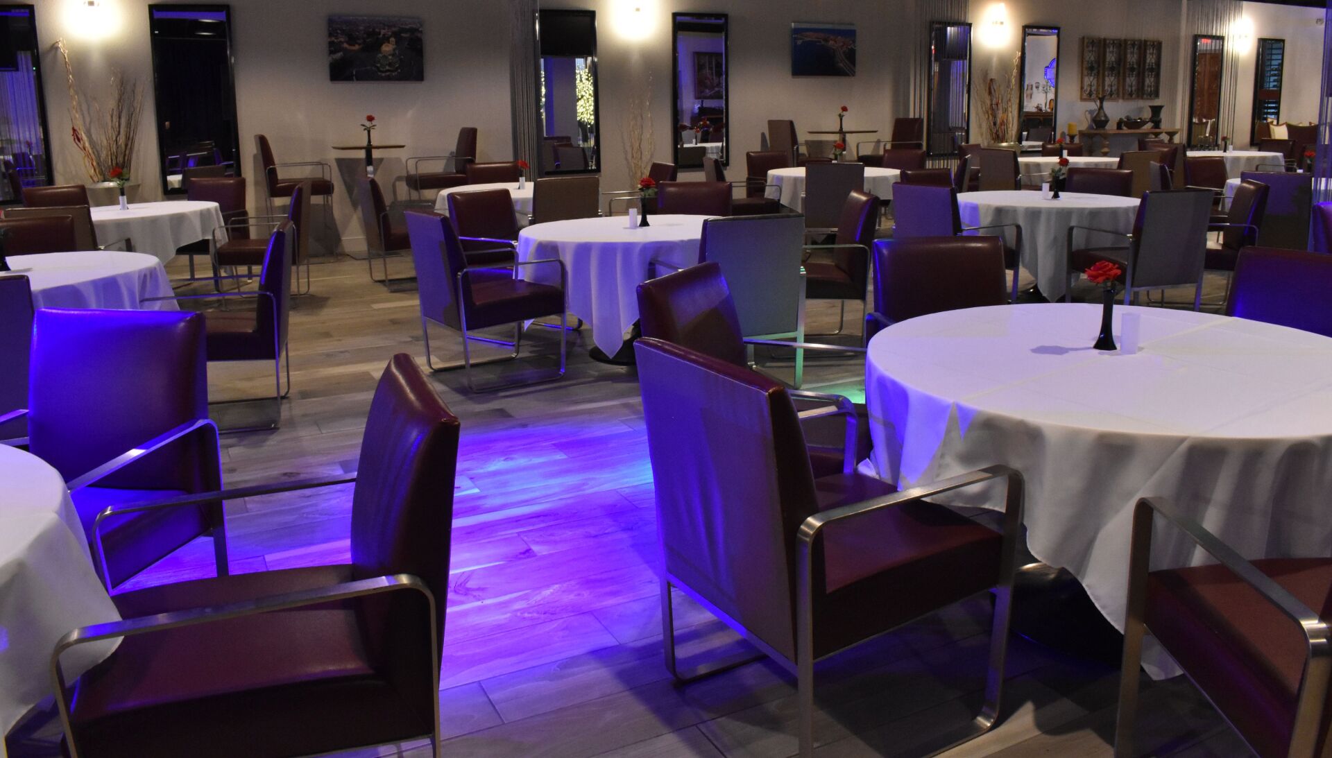 Balkan Bar and Grill | Mediterranean Restaurant
