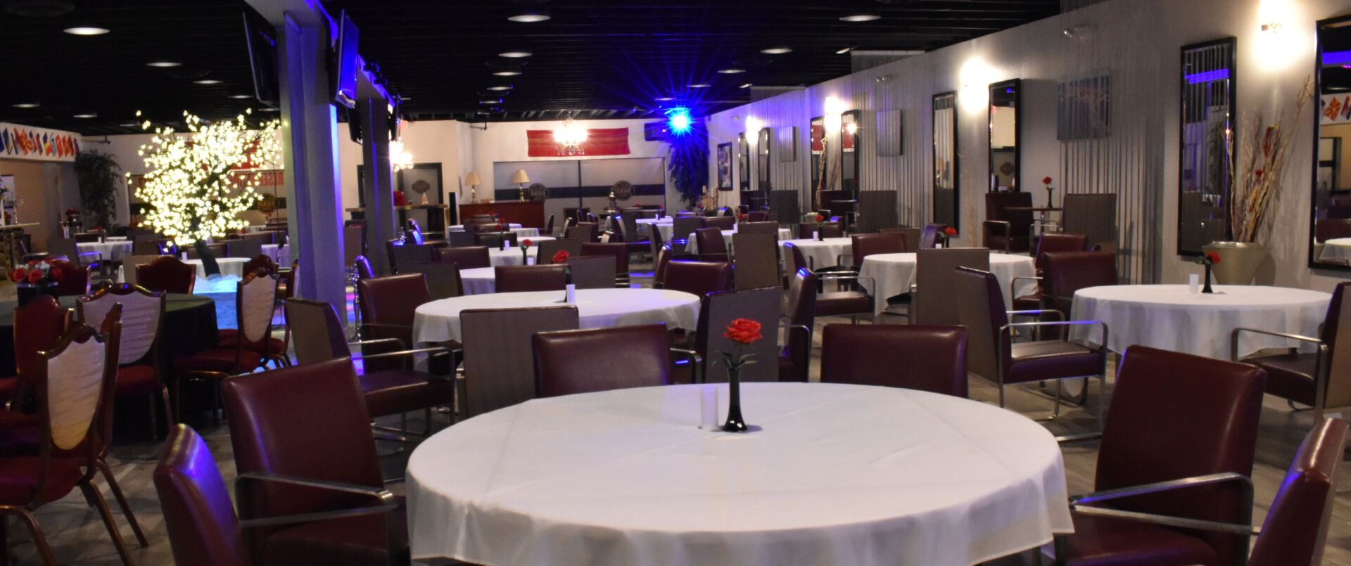 Balkan Bar and Grill | Mediterranean Restaurant