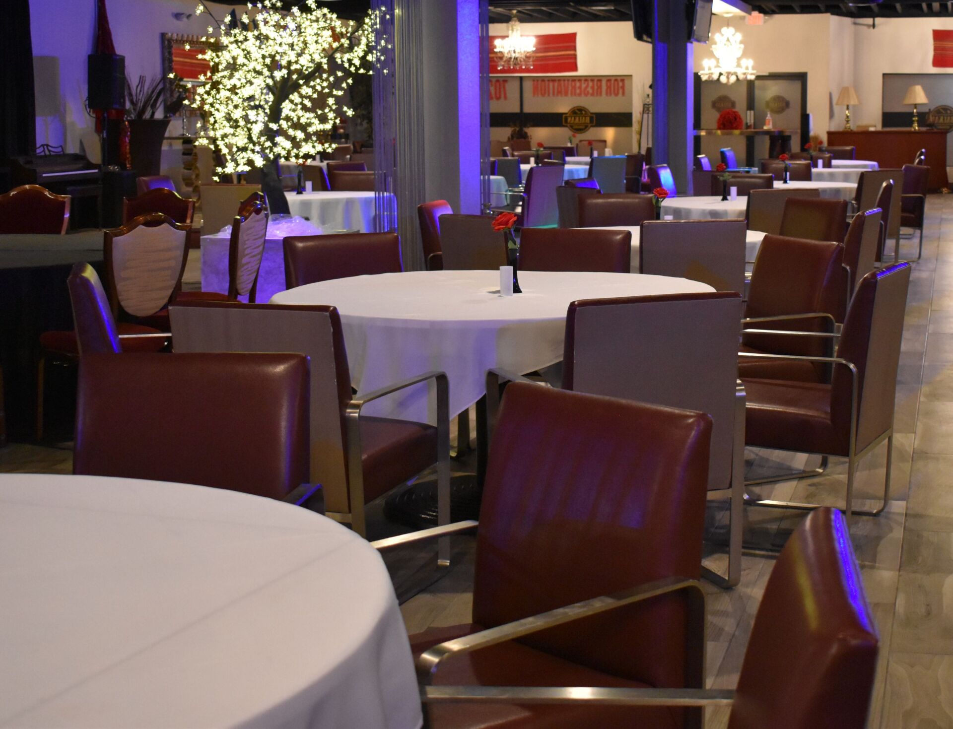 Balkan Bar and Grill | Mediterranean Restaurant