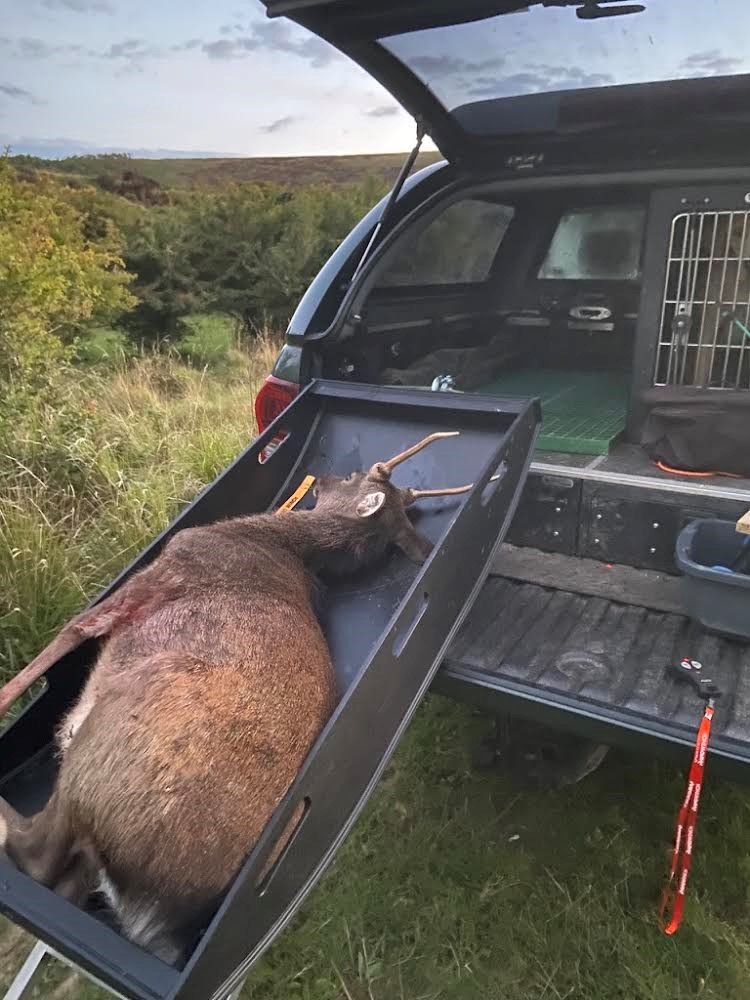 Deer Stalking Equipment & Sleds | Animal Transit Boxes