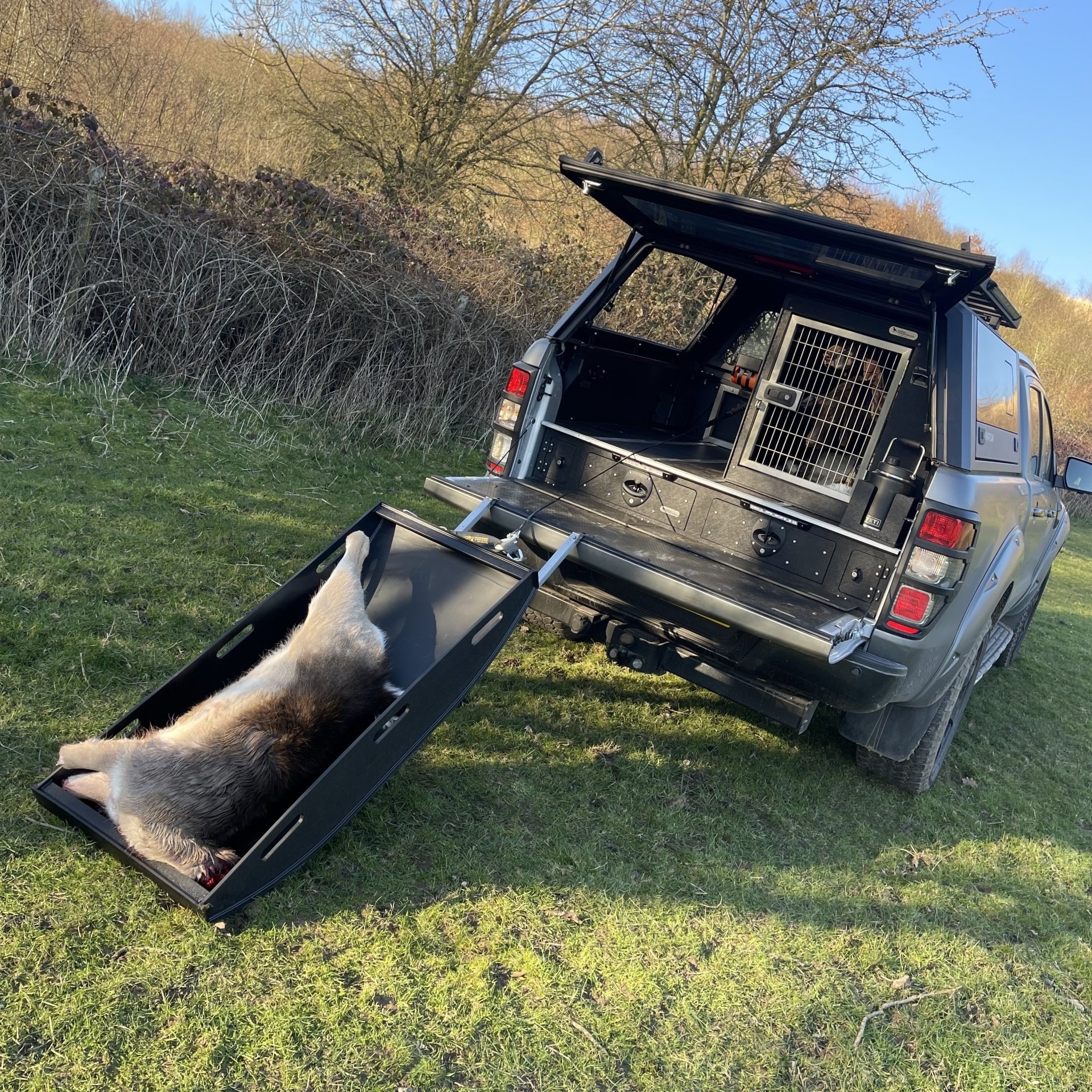 Dog Boxes & Dog Vehicle Conversions | Animal Transit Boxes