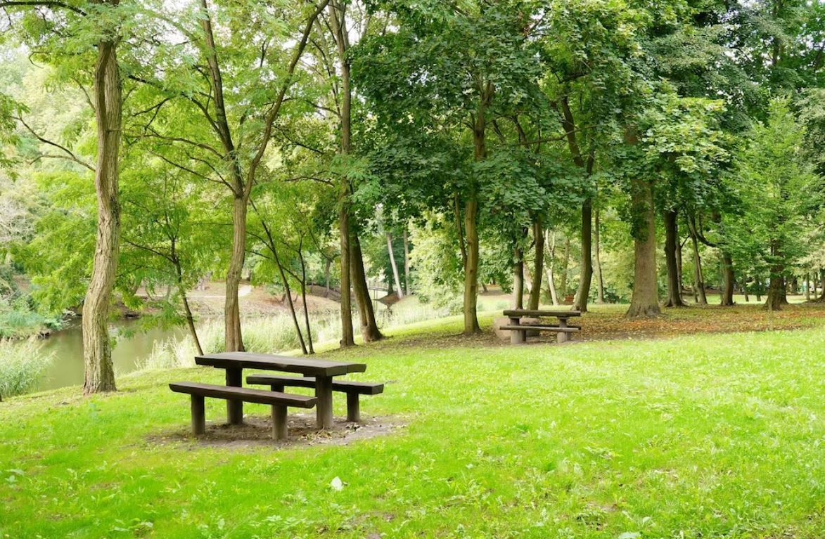 What To Know About Green Cremation - Whiteland, IN