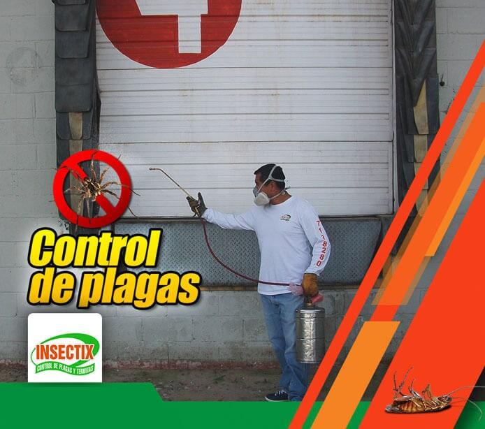 Servicio de Fumigación en Torreón | INSECTIX