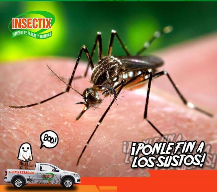 Servicio de Fumigación en Torreón | INSECTIX