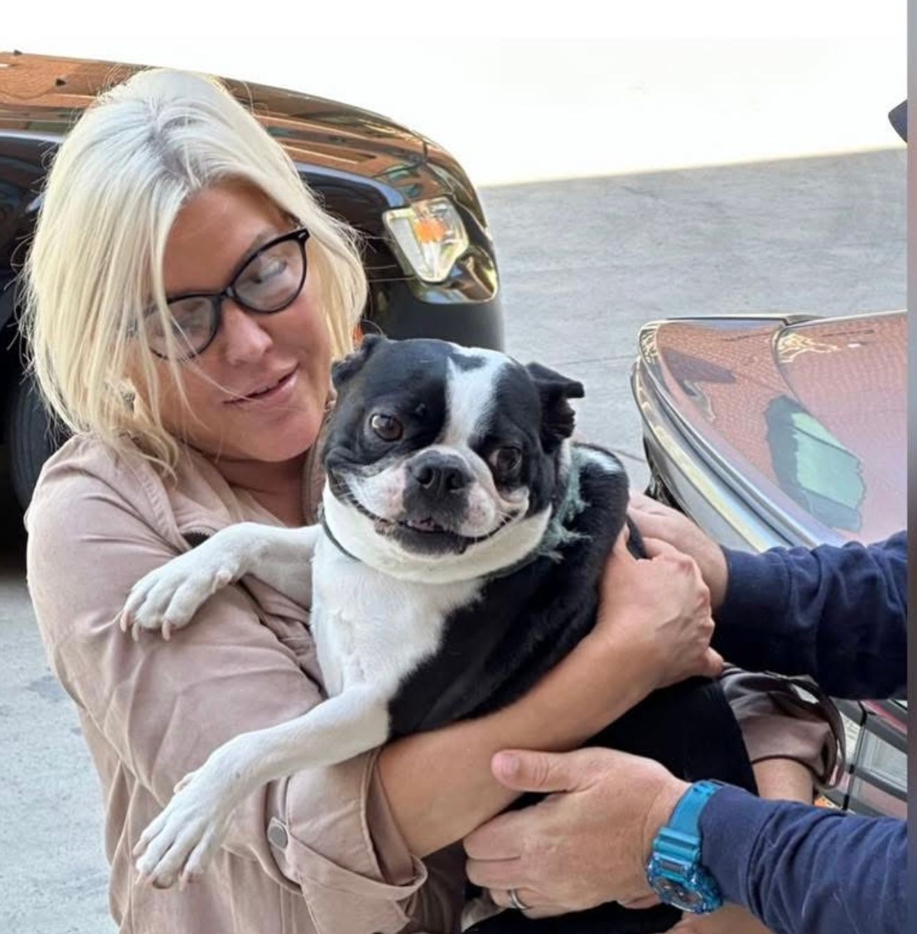 Pet Tracking And Retrieval Services | Stephens City, VA