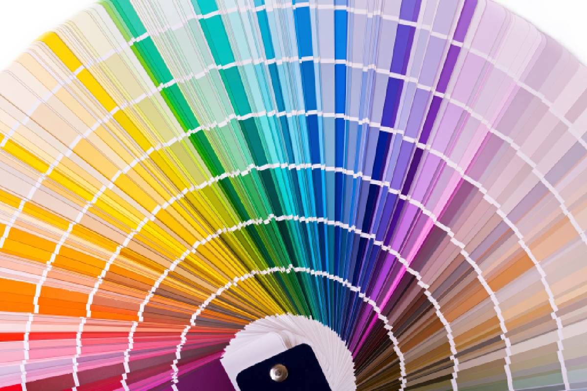 Does Paint Color Matter? | The Painted Horse