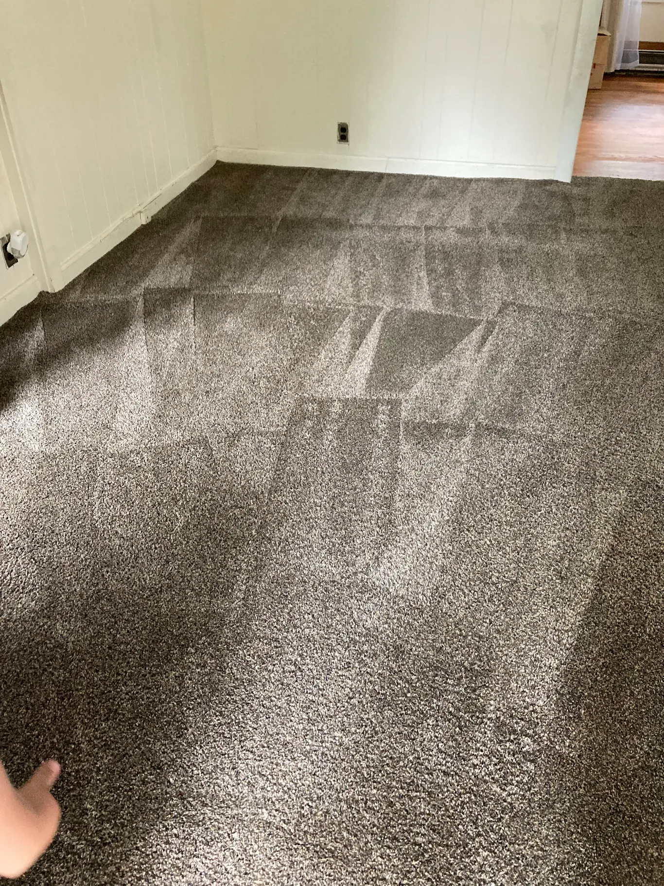 Crystal Clean Carpet & Upholstery | Greenwood Lake, NY
