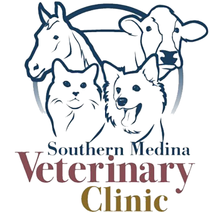 Southern Medina Veterinary Clinic | Veterinary Wellness Partners