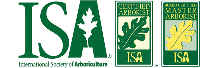 What is a Certified Arborist?