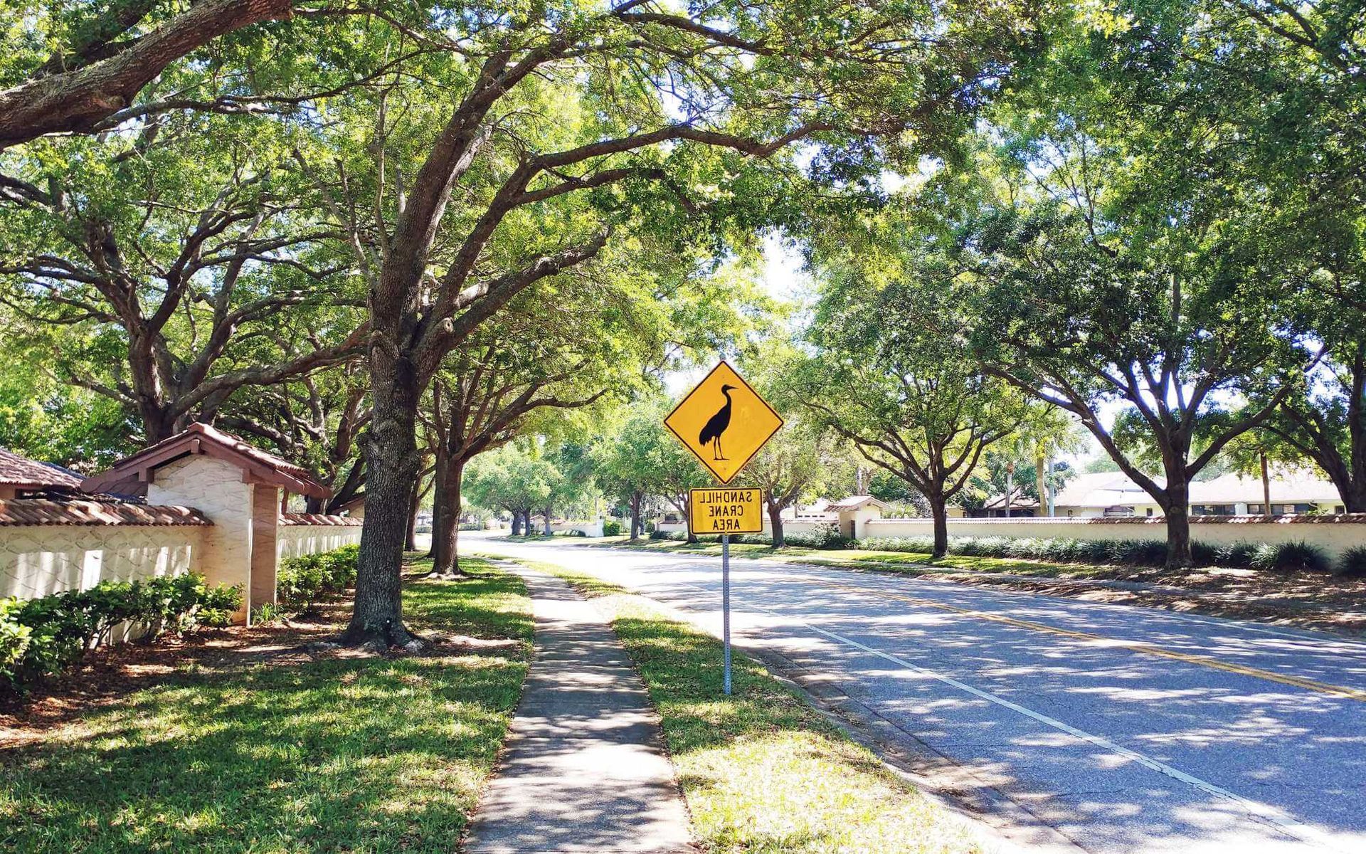 What You Need to Know About Urban Tree Risk Assessment