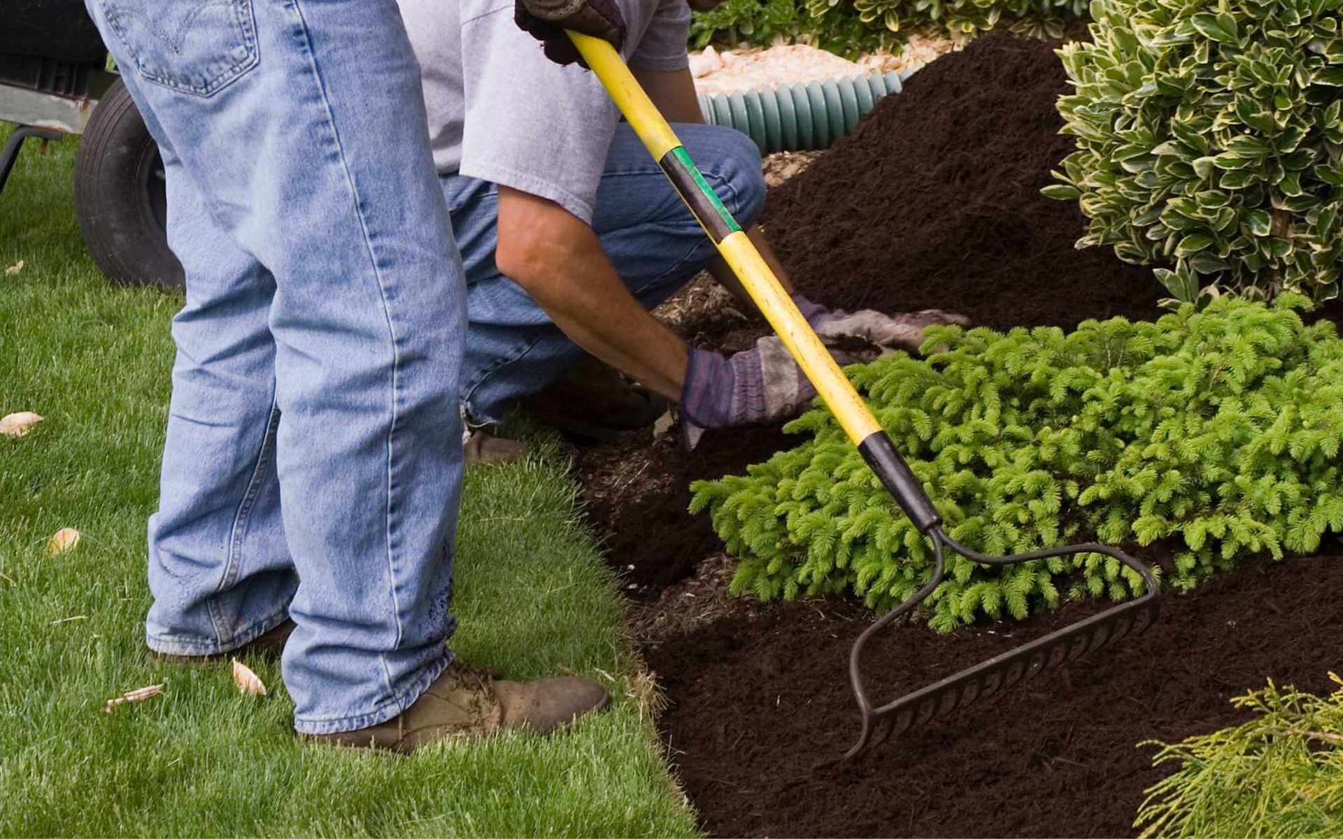 Mulching 101: A Primer to Properly Mulch Around Young Trees
