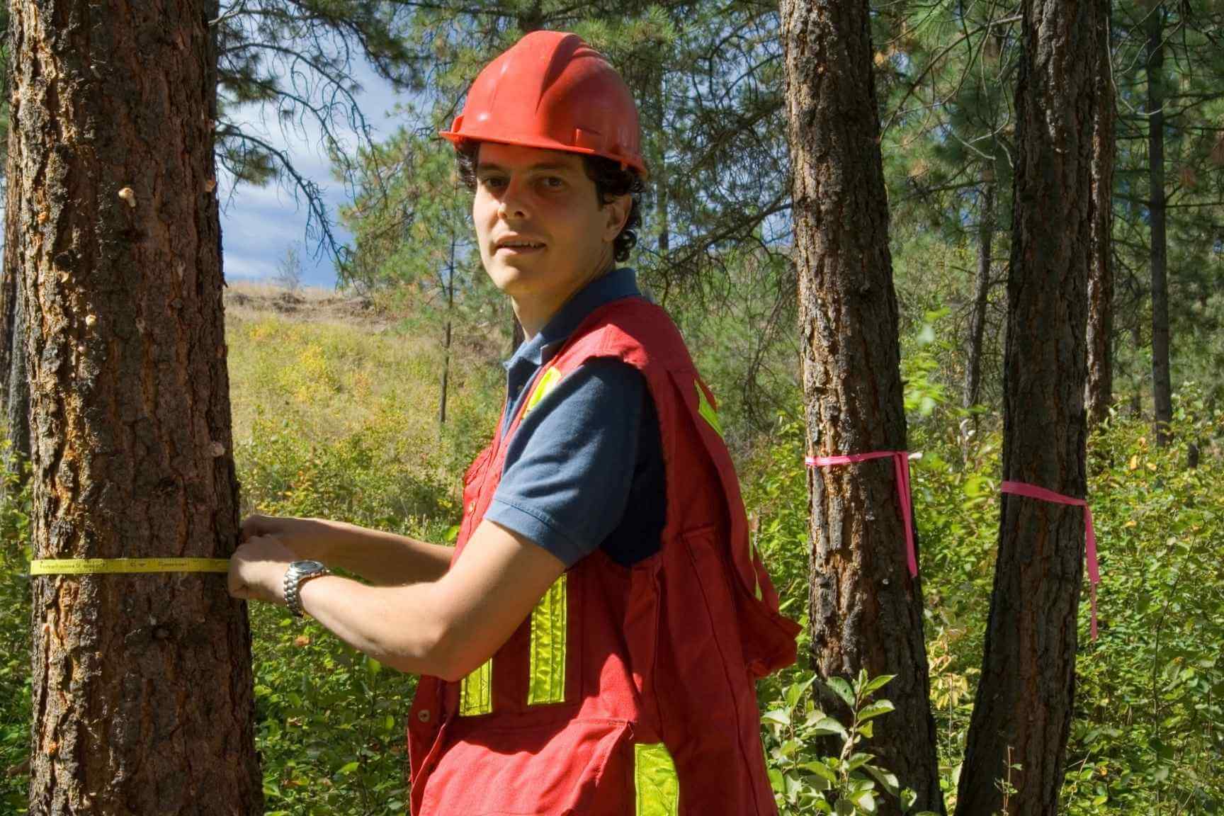 What is a Certified Arborist?