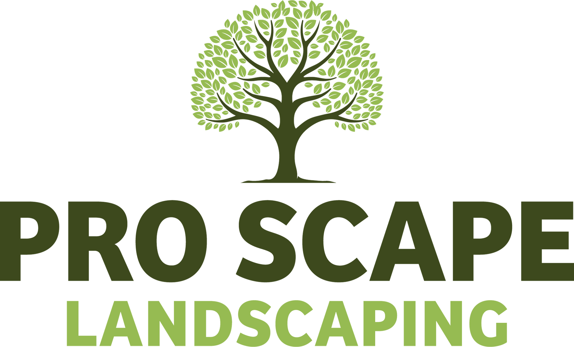 Landscape Design & Lawn Care in Southern California | Pro Scape Landscaping
