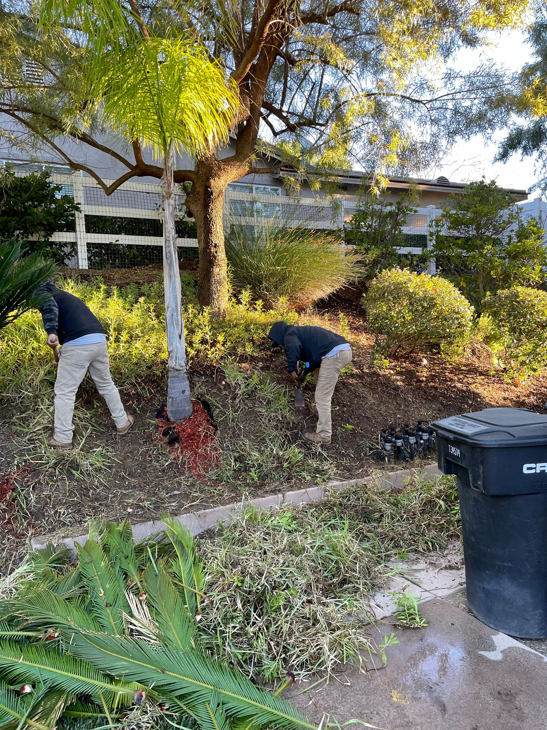 Lawn Fertilization & Weed Control | Pro Scape Landscaping Inc ...