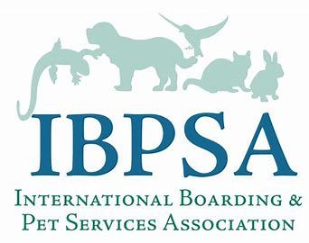 Upscale Pet Boarding | The Palms Pet Resort & Spa