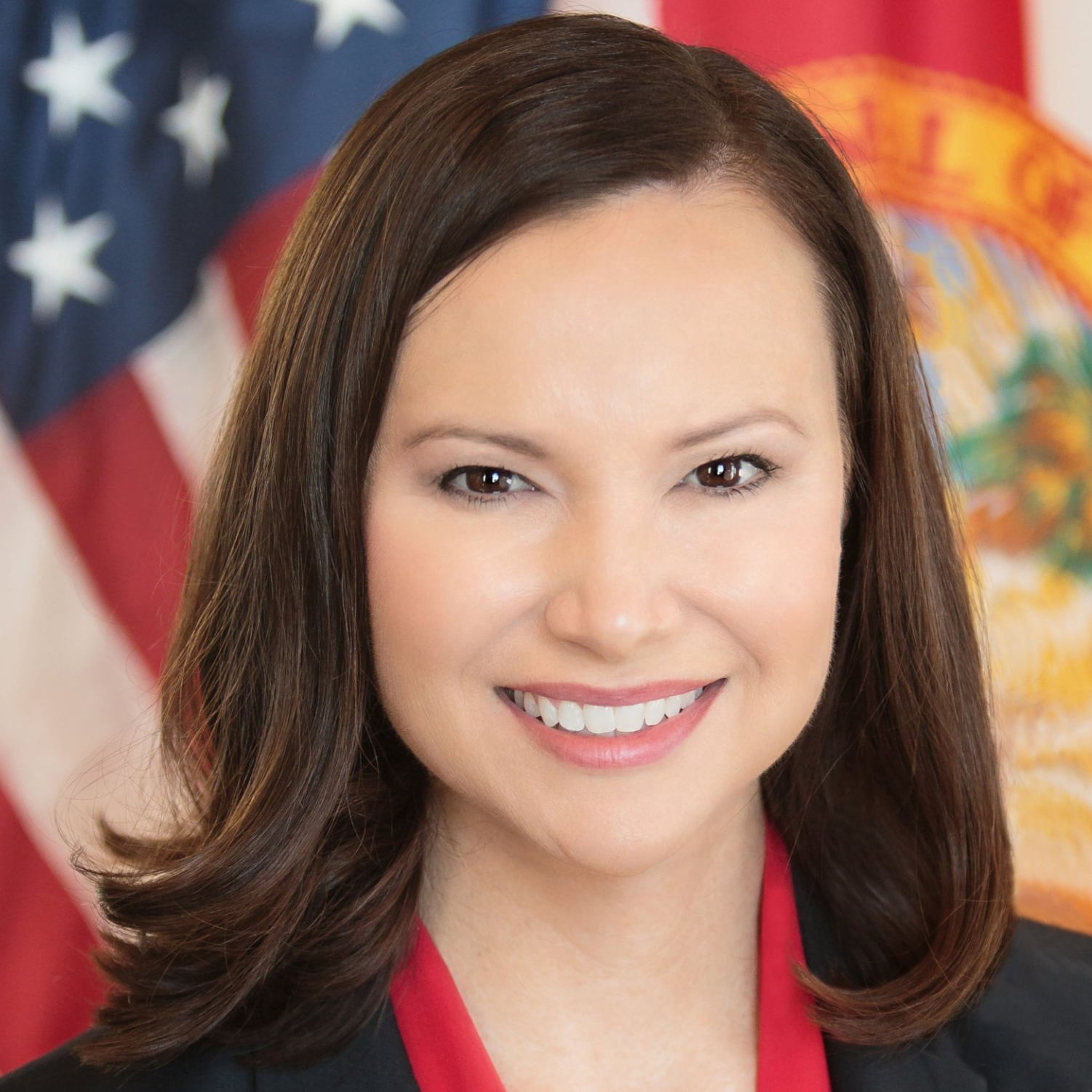 Who Are My Representatives? | Amy Pennock | Seminole County Supervisor ...