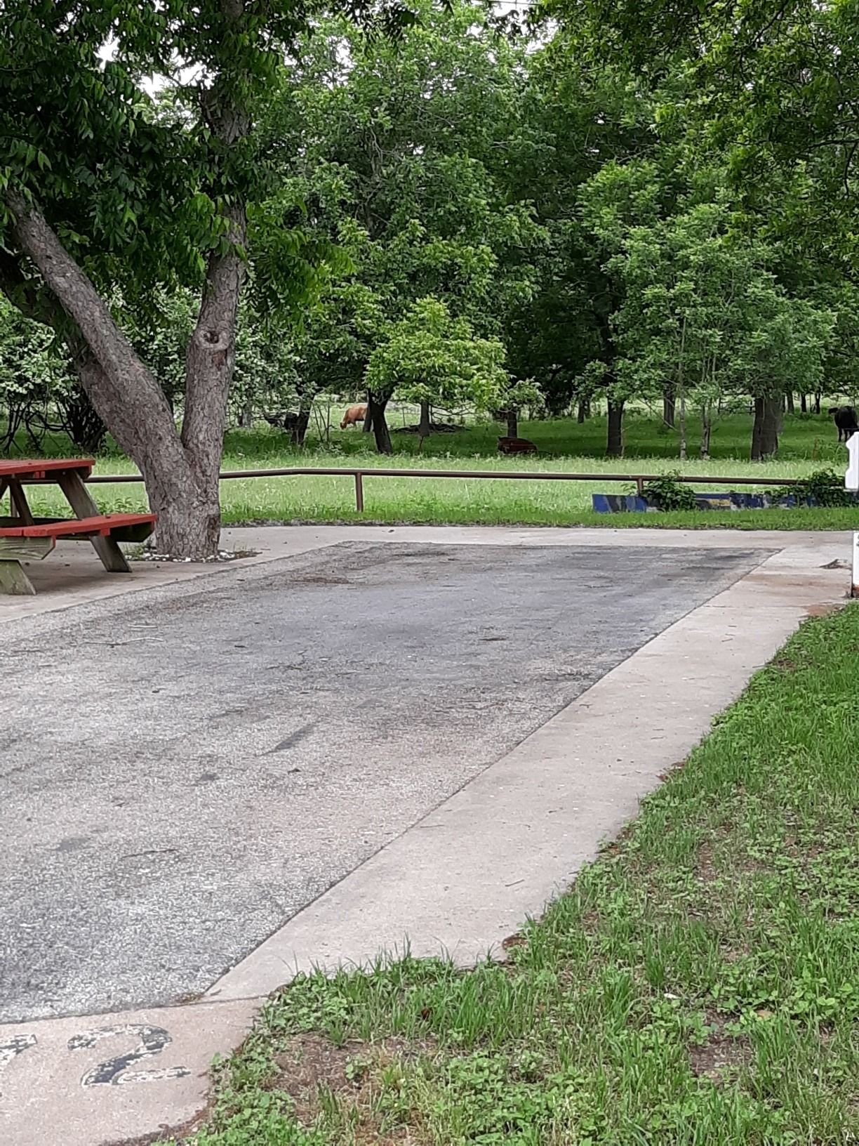 RV Resort Amenities | Basin RV Resorts | Belton, TX