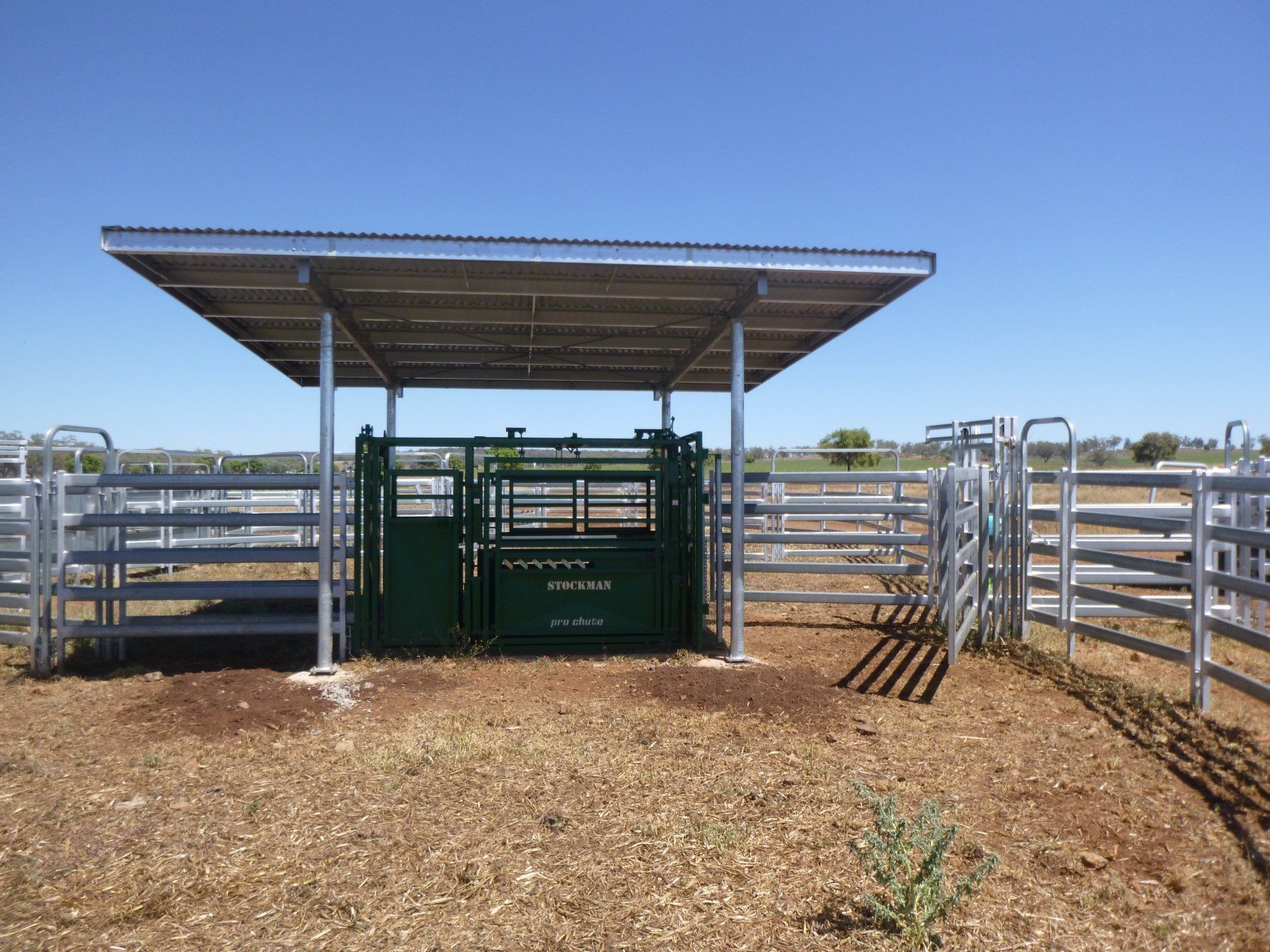 Cattle shelters - Statewidesheds.com.au