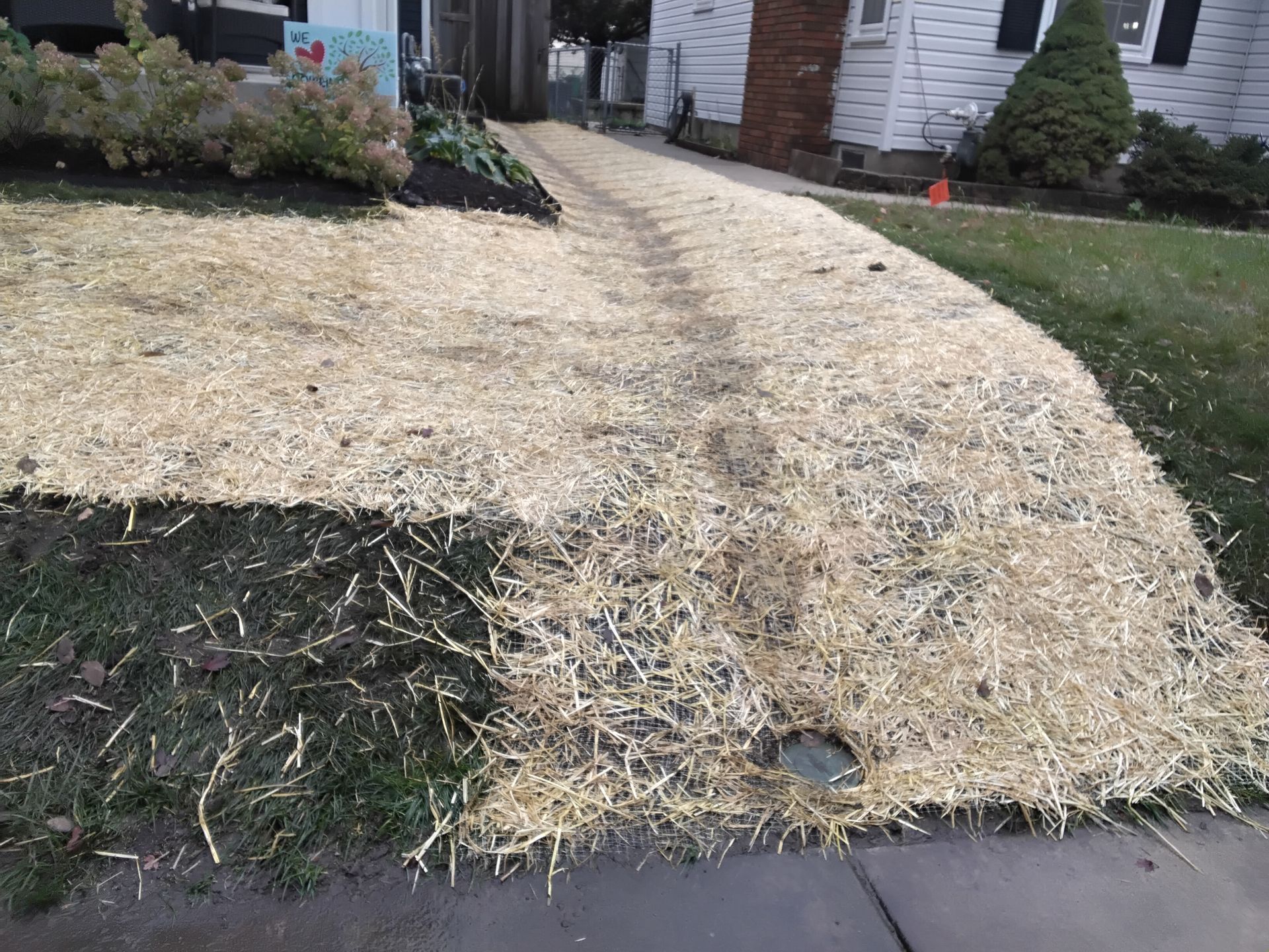 French Drain vs Re-Grading for small Yards | Minneapolis–St. Paul