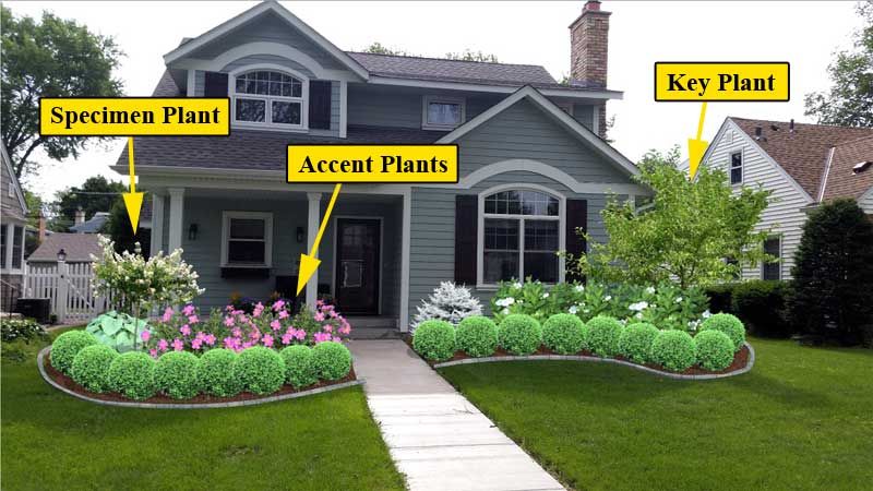 Front Yard Landscaping Curb Appeal Minneapolis St.Paul