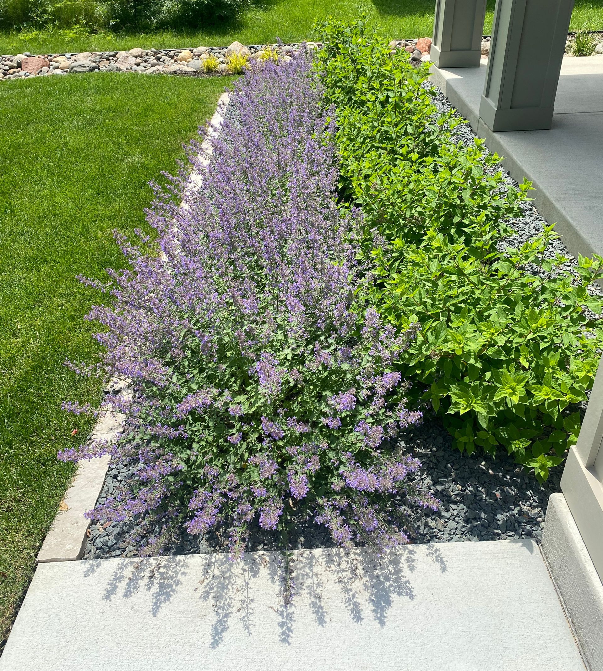 Front Yard Landscaping Pictures, KG Landscape Minnesota