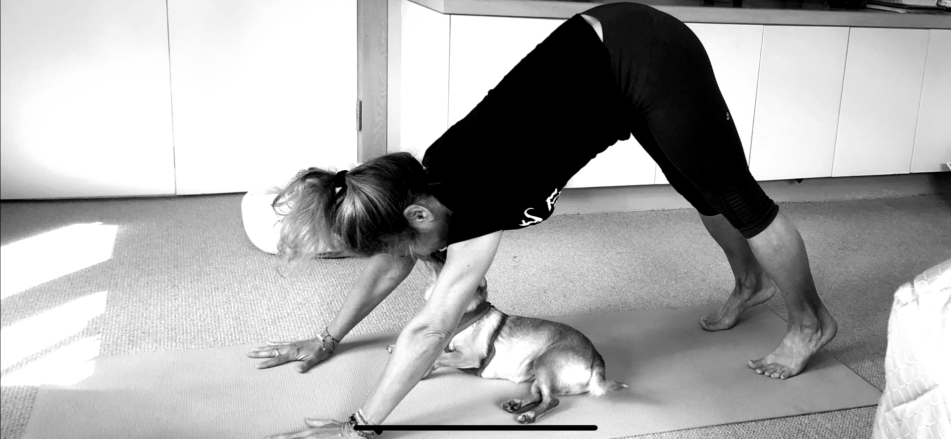 On The Mat Yoga Studio offers Classes in Beginner Yoga, Flow Yoga, Slow ...