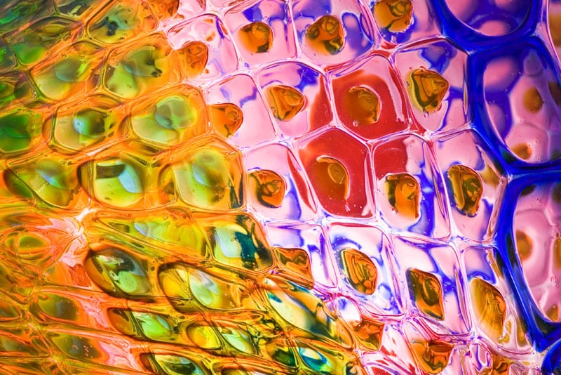 Stephen Rolfe Powell – American Glass Artist