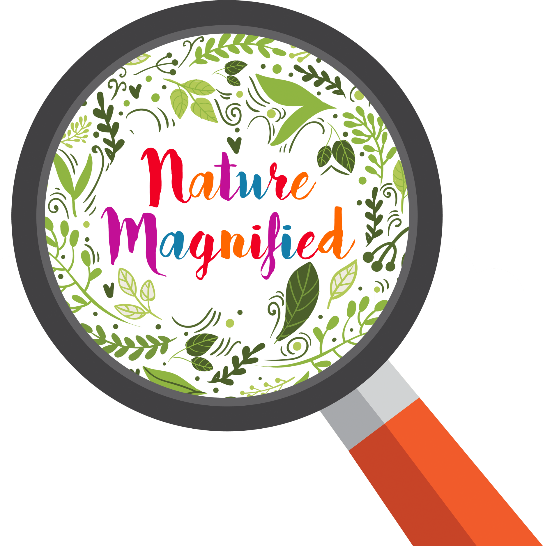 Nature Magnified Programme | Kidz Meadow Childcare