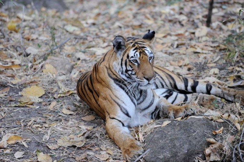 Home [www.jonrholt.com]