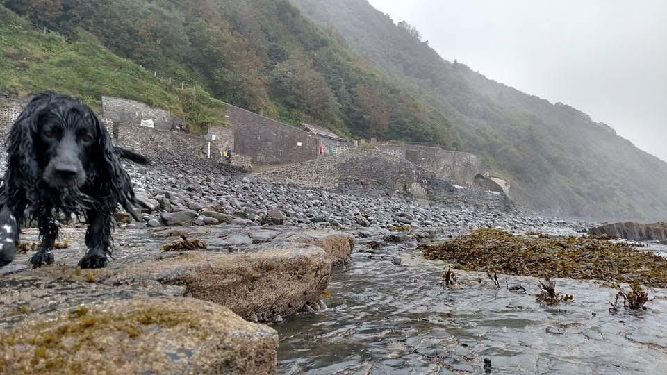 Bucks Mills in North Devon is a great beach to visit