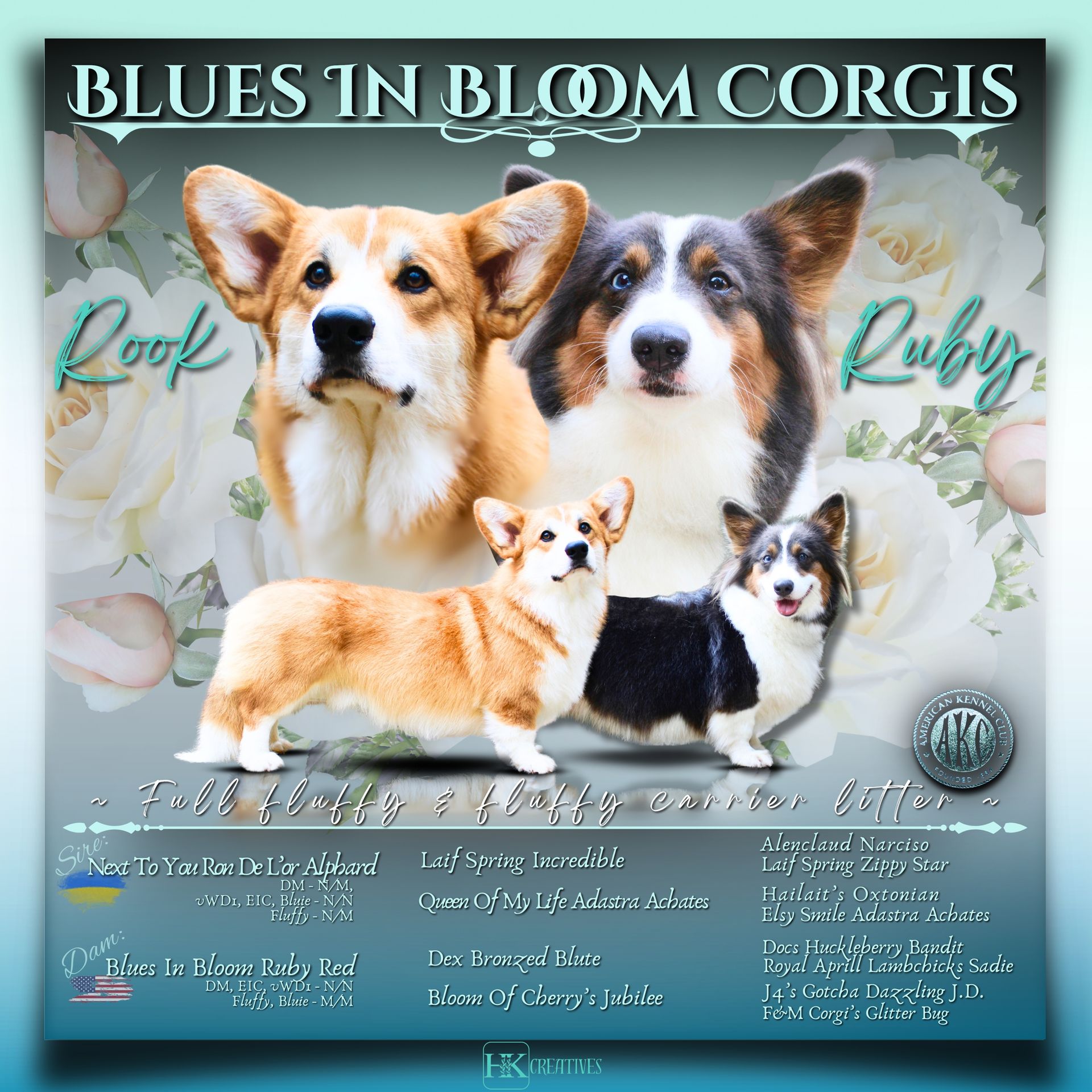 Planned Breedings | Corgi Puppies