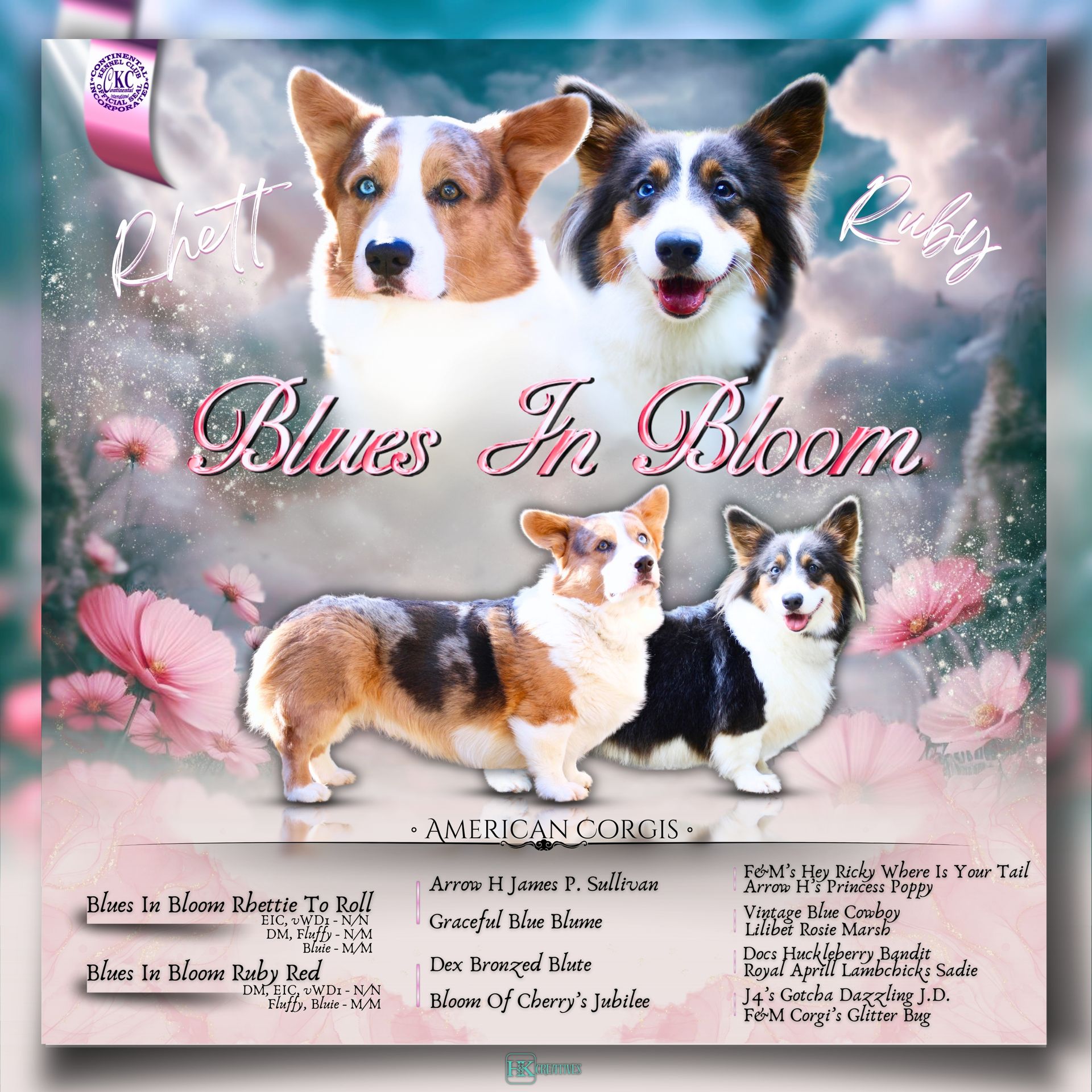 Planned Breedings | Corgi Puppies