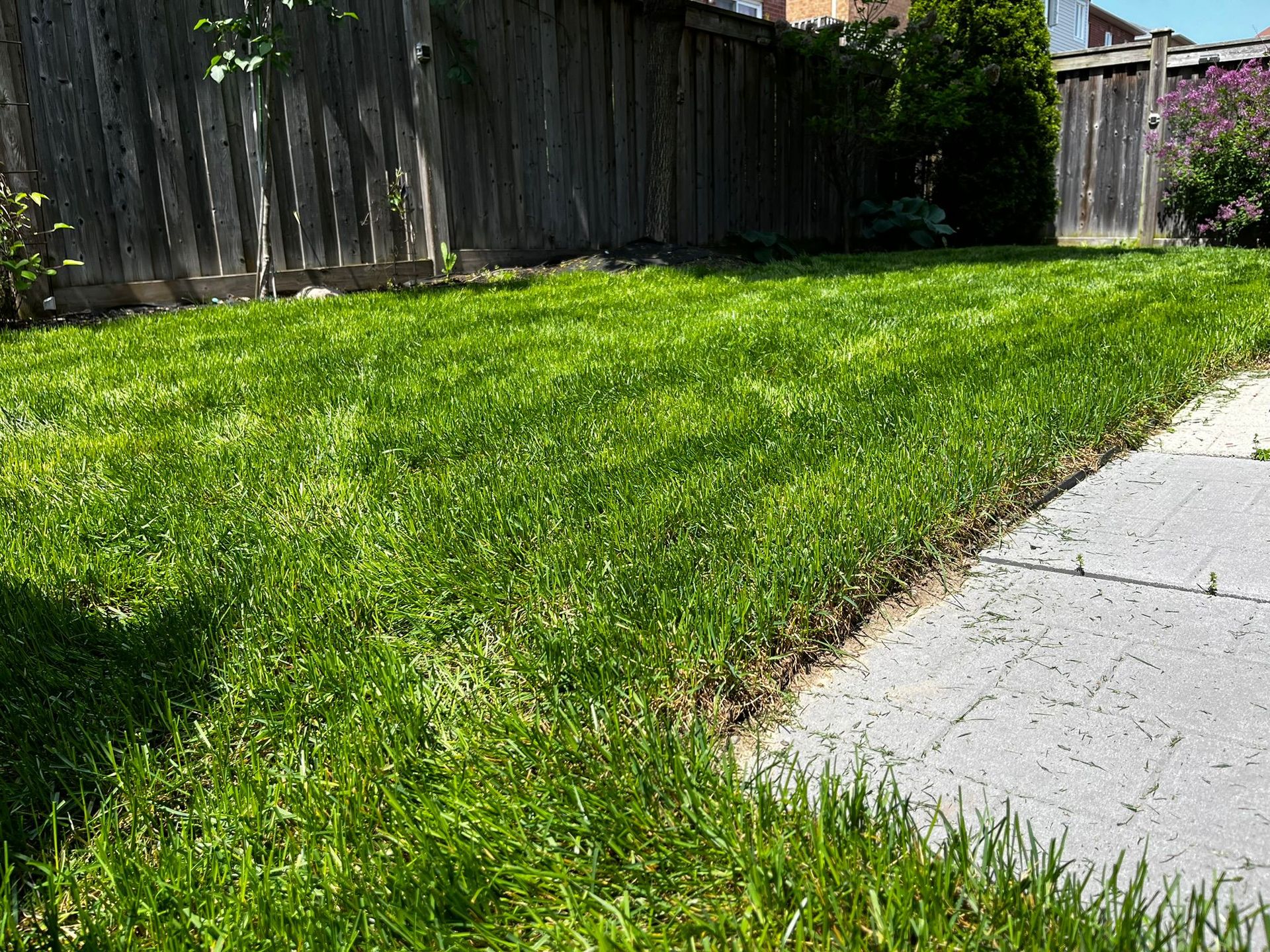 Sod Installation Scarborough | Pickering | Ajax| Whitby