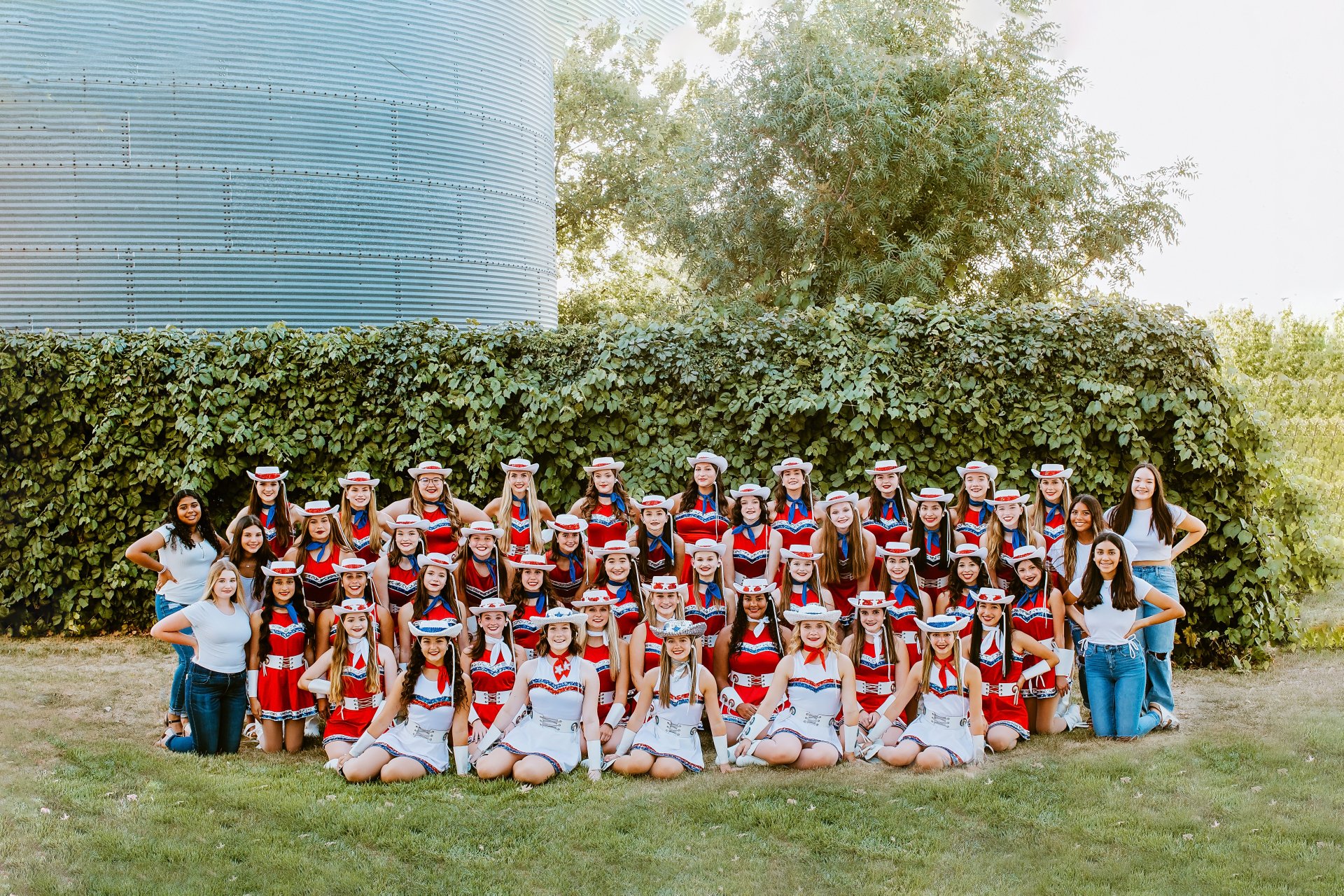 Home [hayshighsteppers.com]