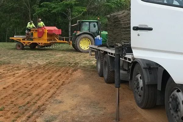 Sports Field Maintenance in Cairns | Tropical Lawns